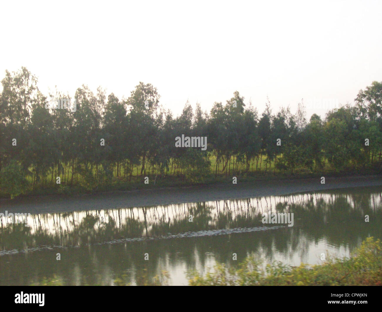 Salt pit in Orissa Stock Photo - Alamy