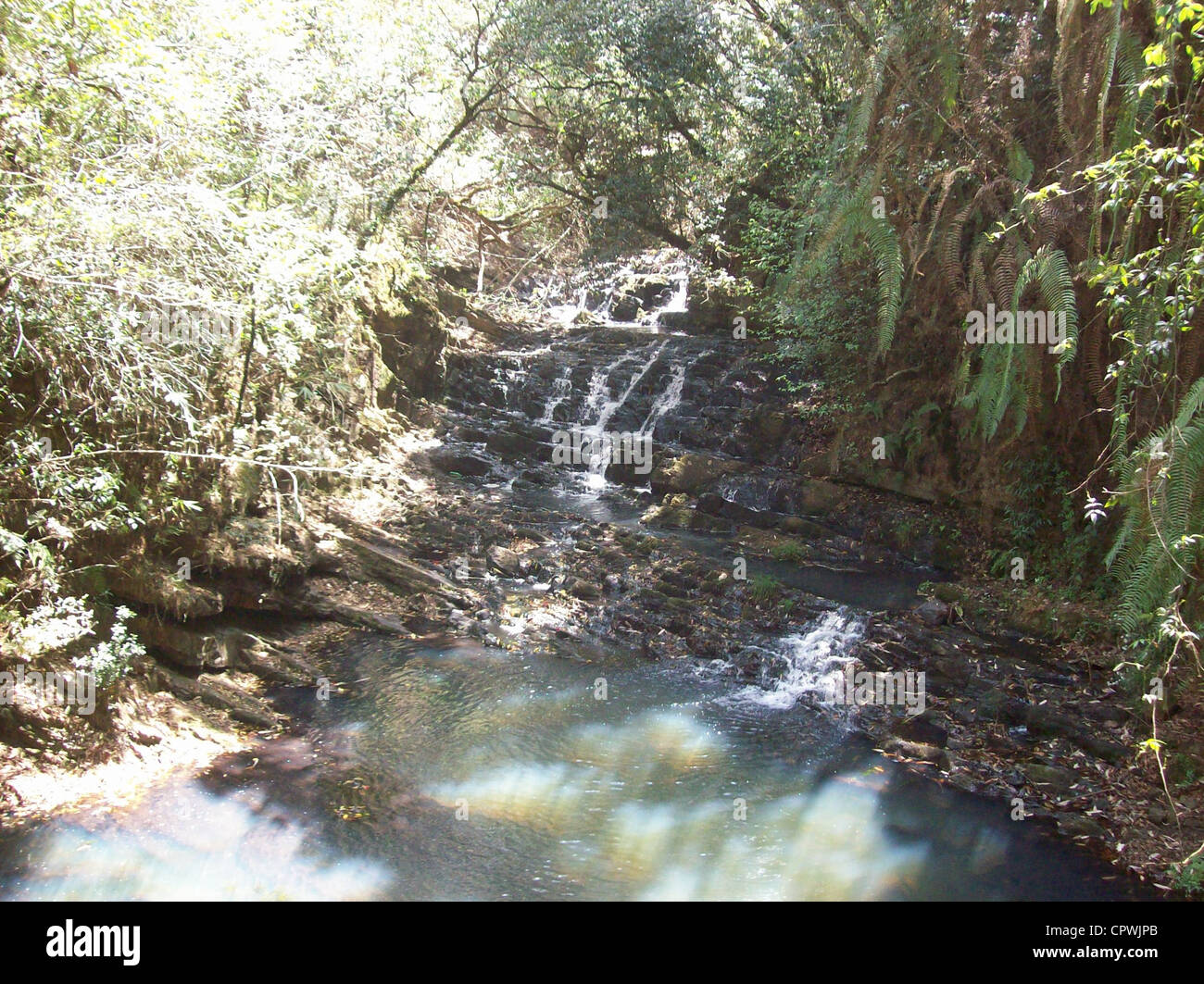 Elephant falls at Shillong Stock Photo - Alamy