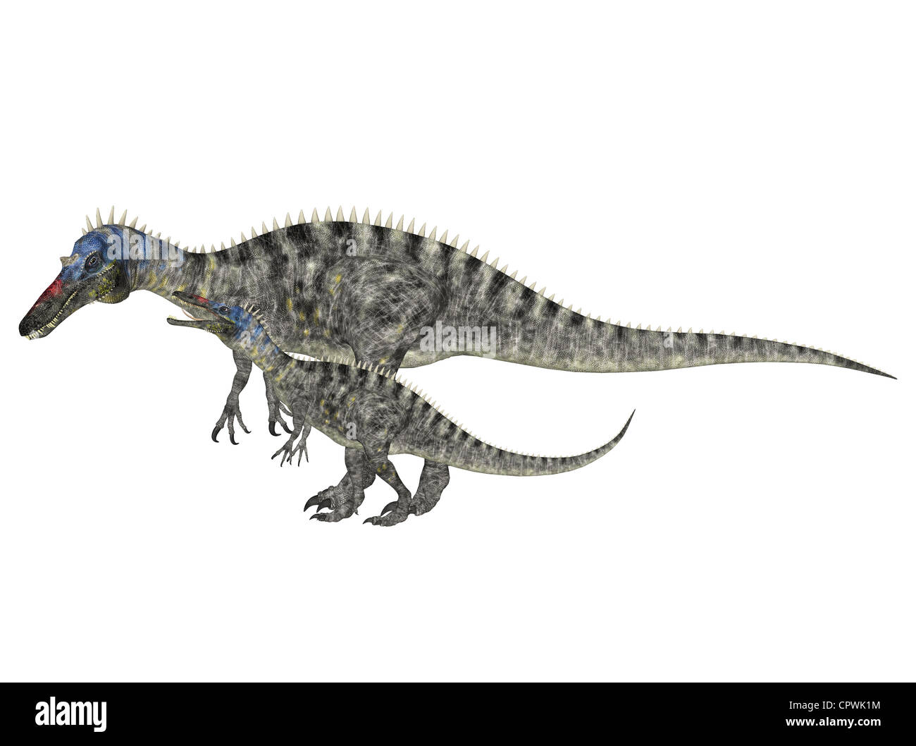 Suchomimus hi-res stock photography and images - Alamy