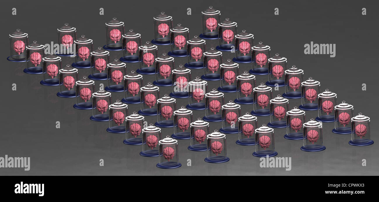 illustration of human brains in specimen jars Stock Photo - Alamy