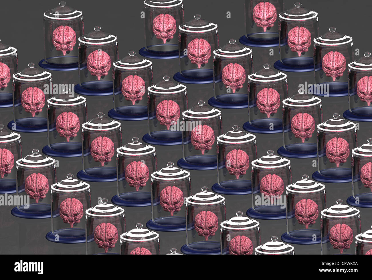 Brain specimen hi-res stock photography and images - Alamy