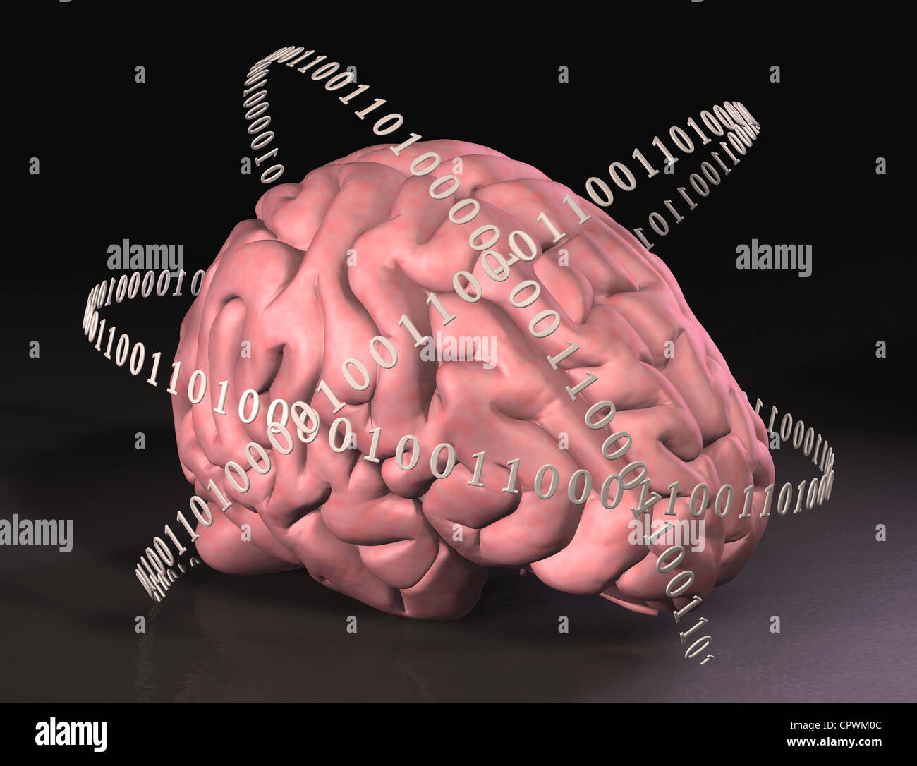 illustration of a human brain surrounded by binary code Stock Photo - Alamy