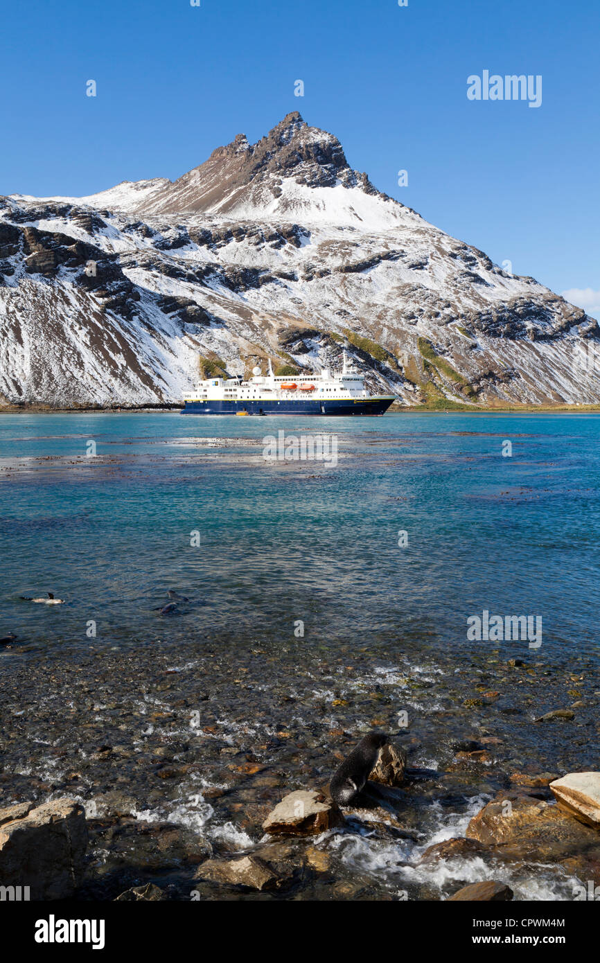 The National Geographic Explorer anchored at Grytviken, South Georgia ...