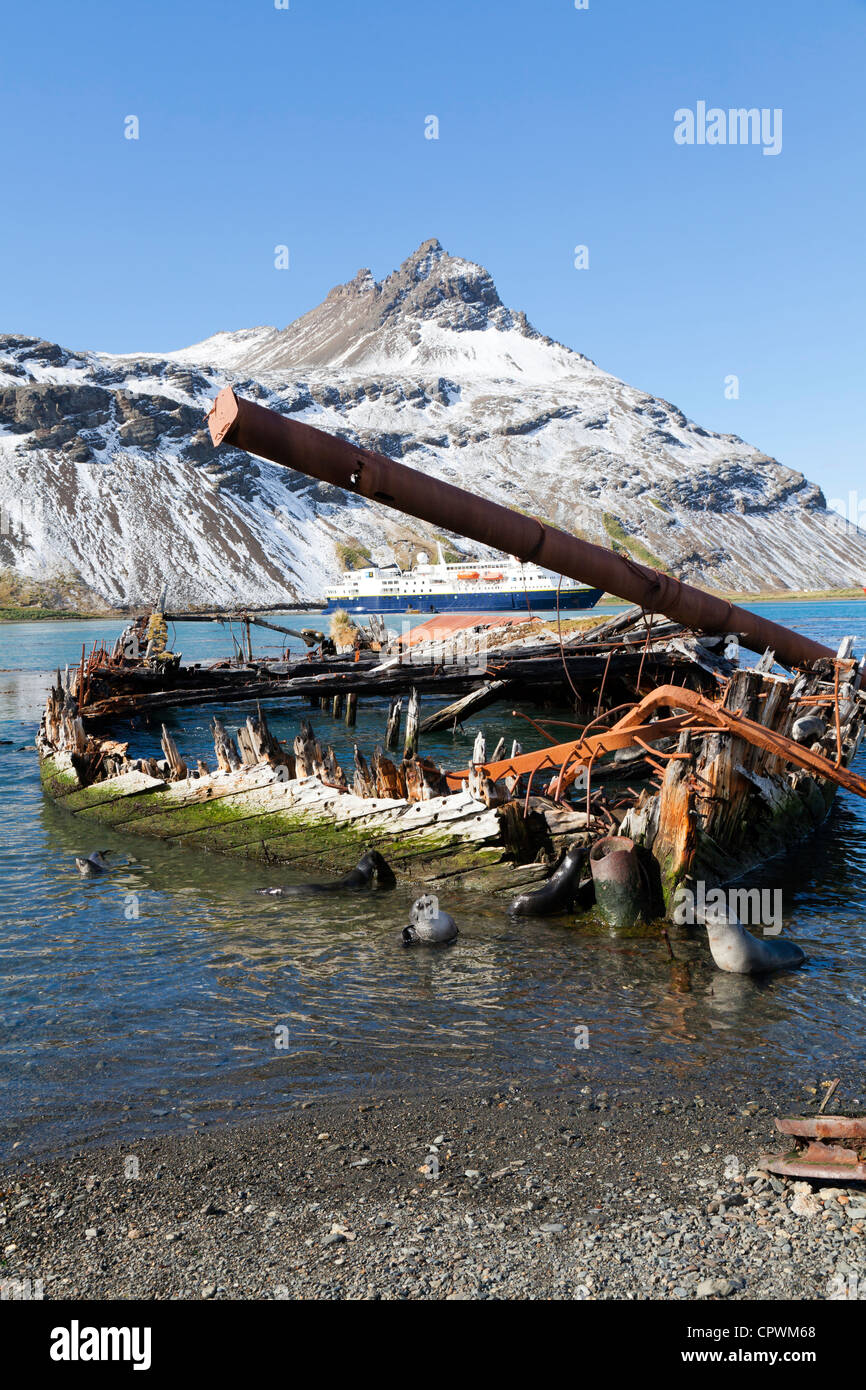 The burnt out wreck of the Louise, Grytviken, South Georgia Island, the ...