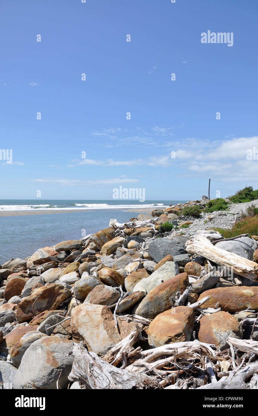 Bruce Bay West Coast Driftwood South Island New Zealand Stock Photo - Alamy