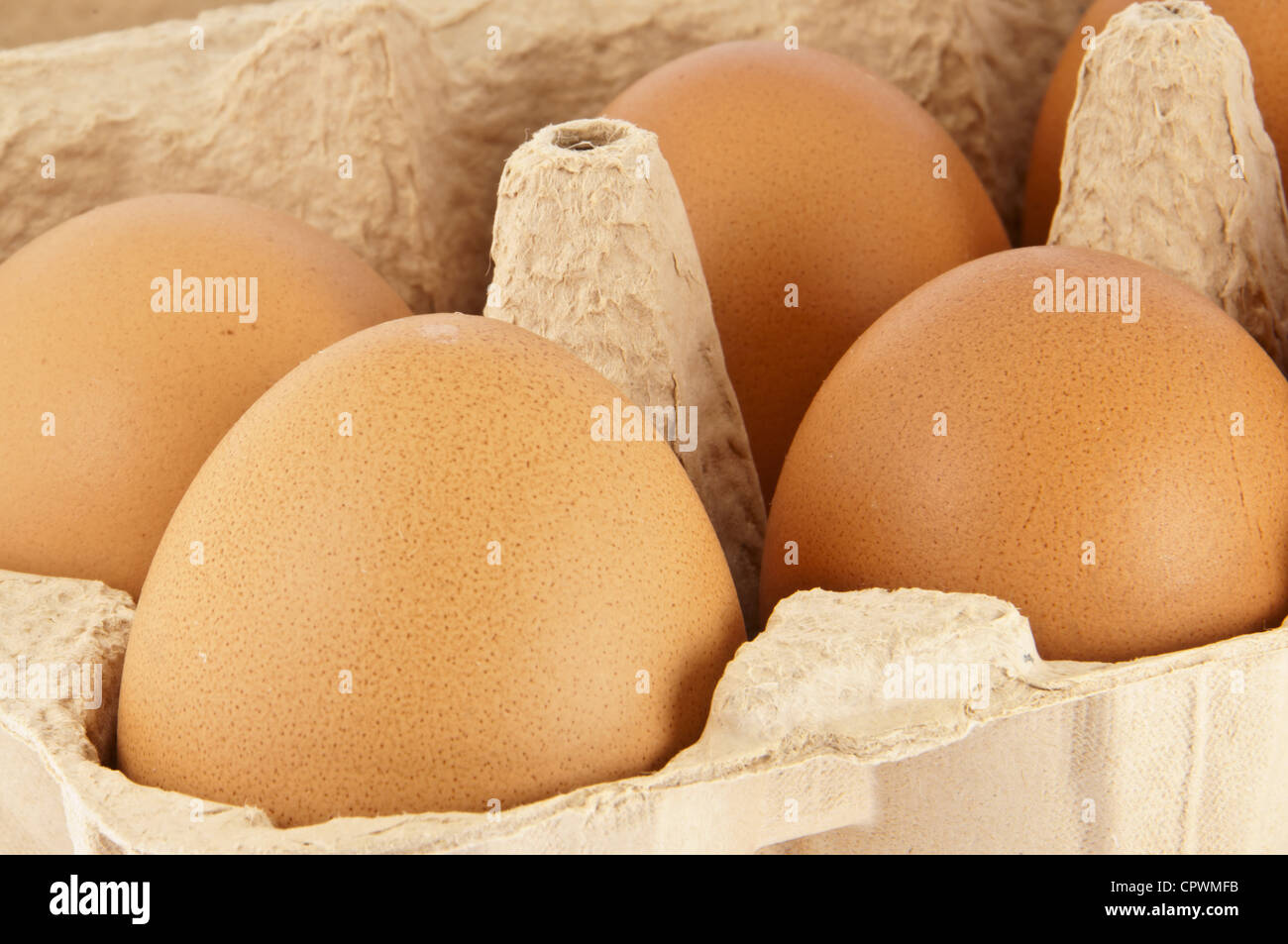 Detailed eggs hi-res stock photography and images - Alamy