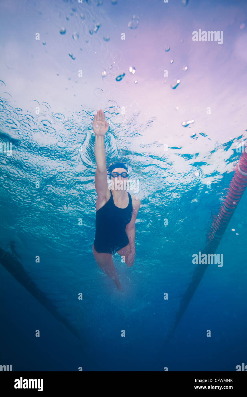 Underwater shoot of a professional woman swimming in crawl style Stock ...
