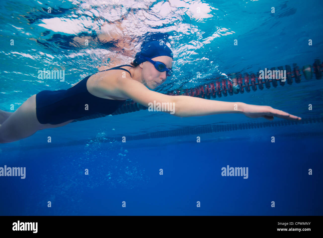 Underwater shoot of a professional sportsman swimming in crawl (stroke ...