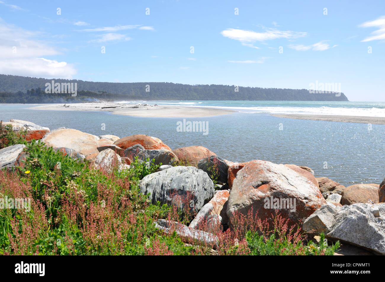 Bruce Bay West Coast Driftwood South Island New Zealand beach sea Stock ...