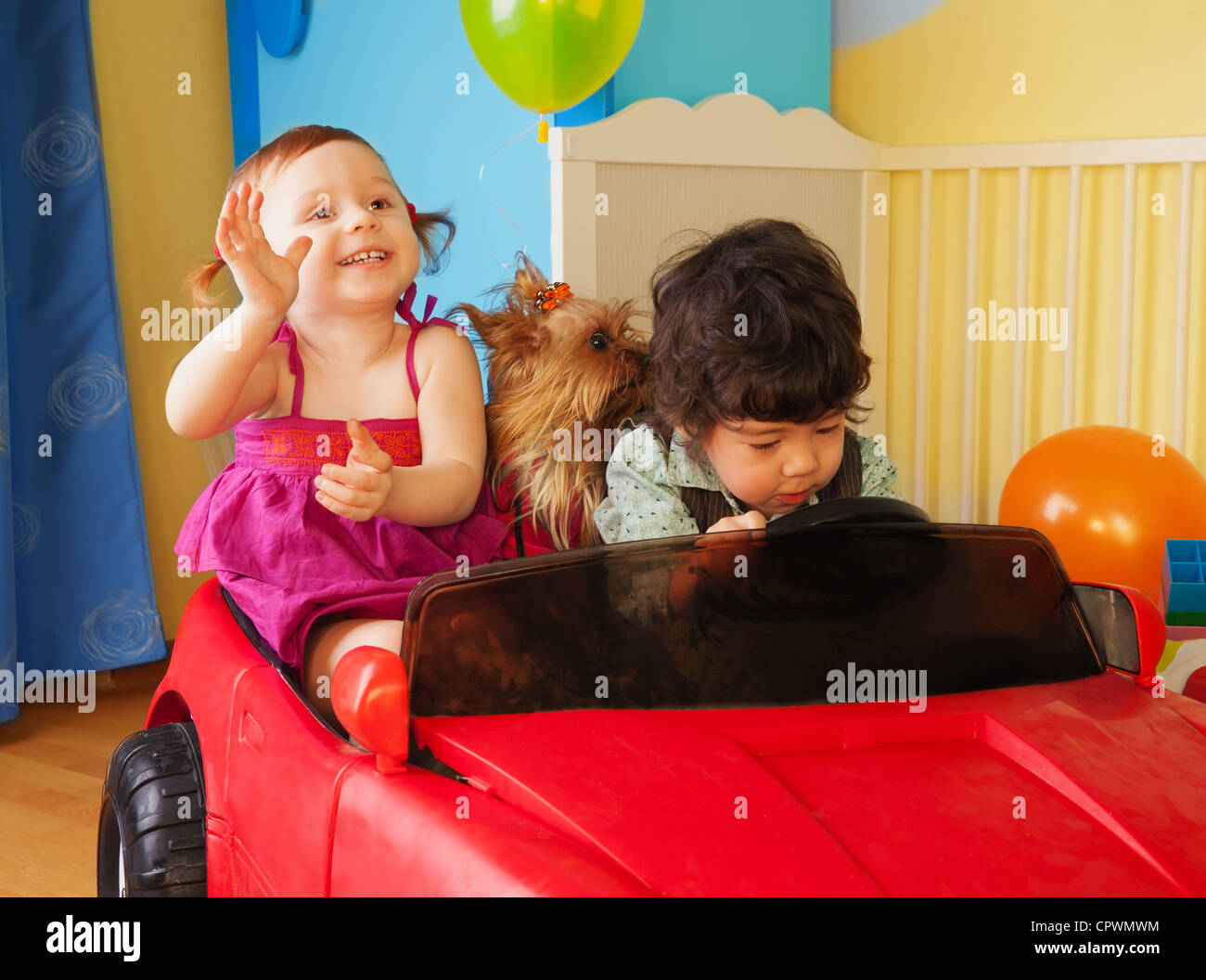 Kids with dog play in the toy car Stock Photo - Alamy