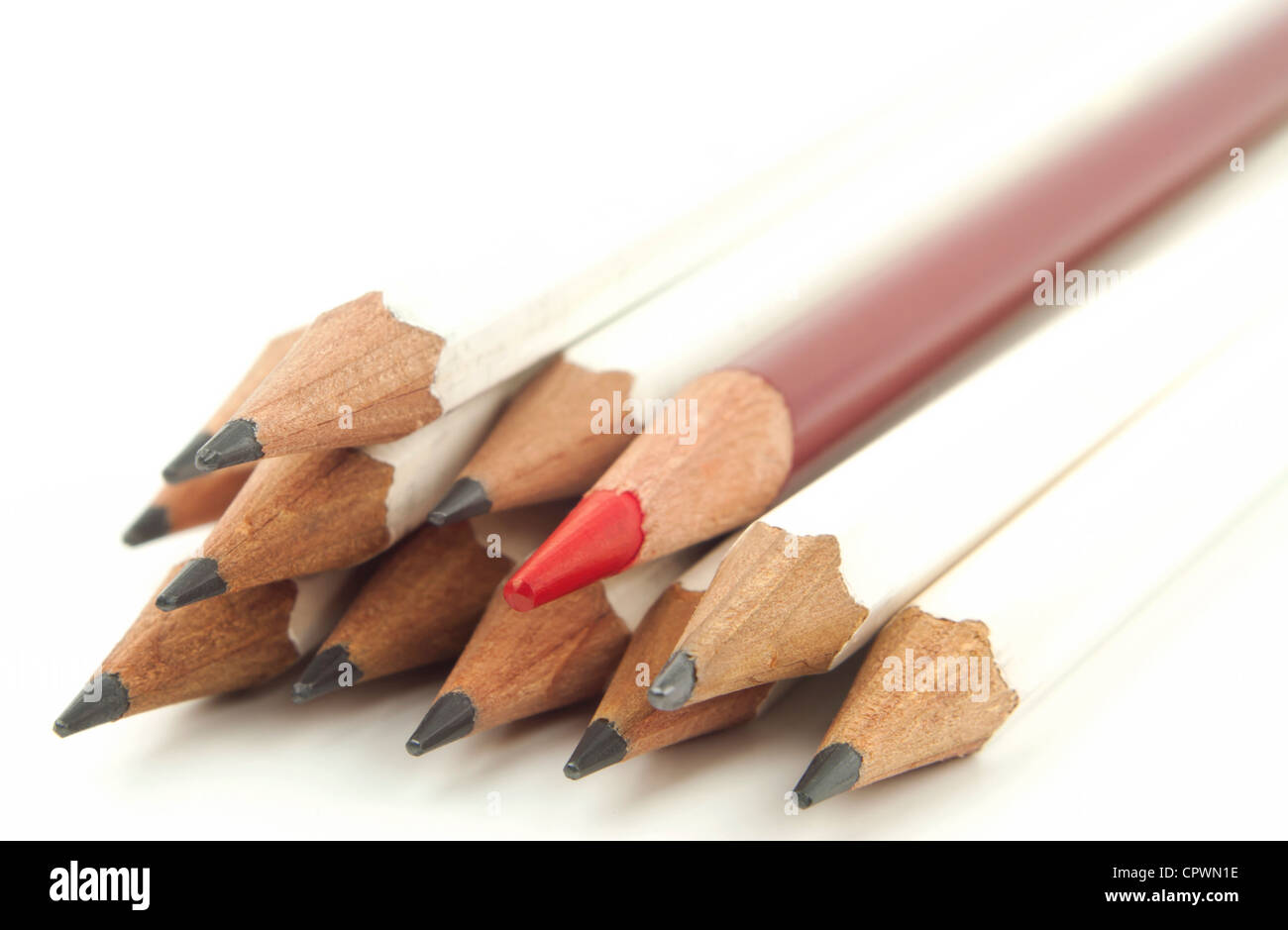 Bunch of white pencils with one red colored pencil isolated on white ...