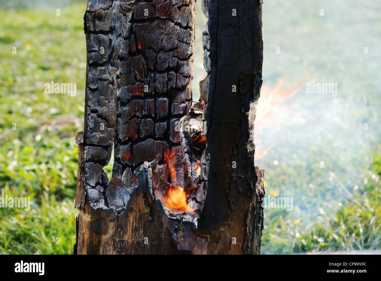 Tree trunk burned hi-res stock photography and images - Alamy