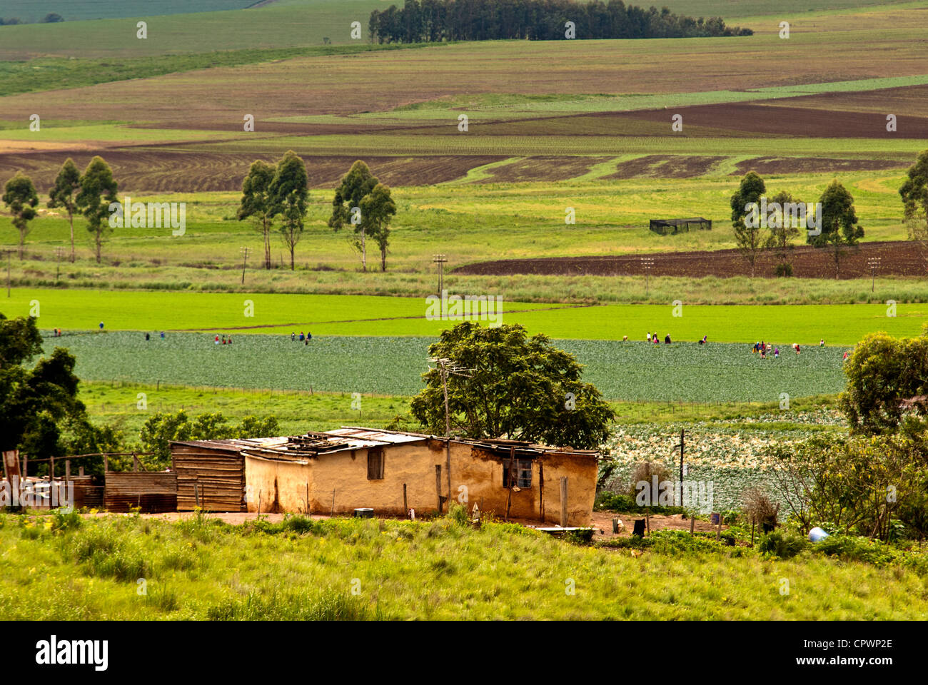 Kwazulu natal midlands hi-res stock photography and images - Alamy