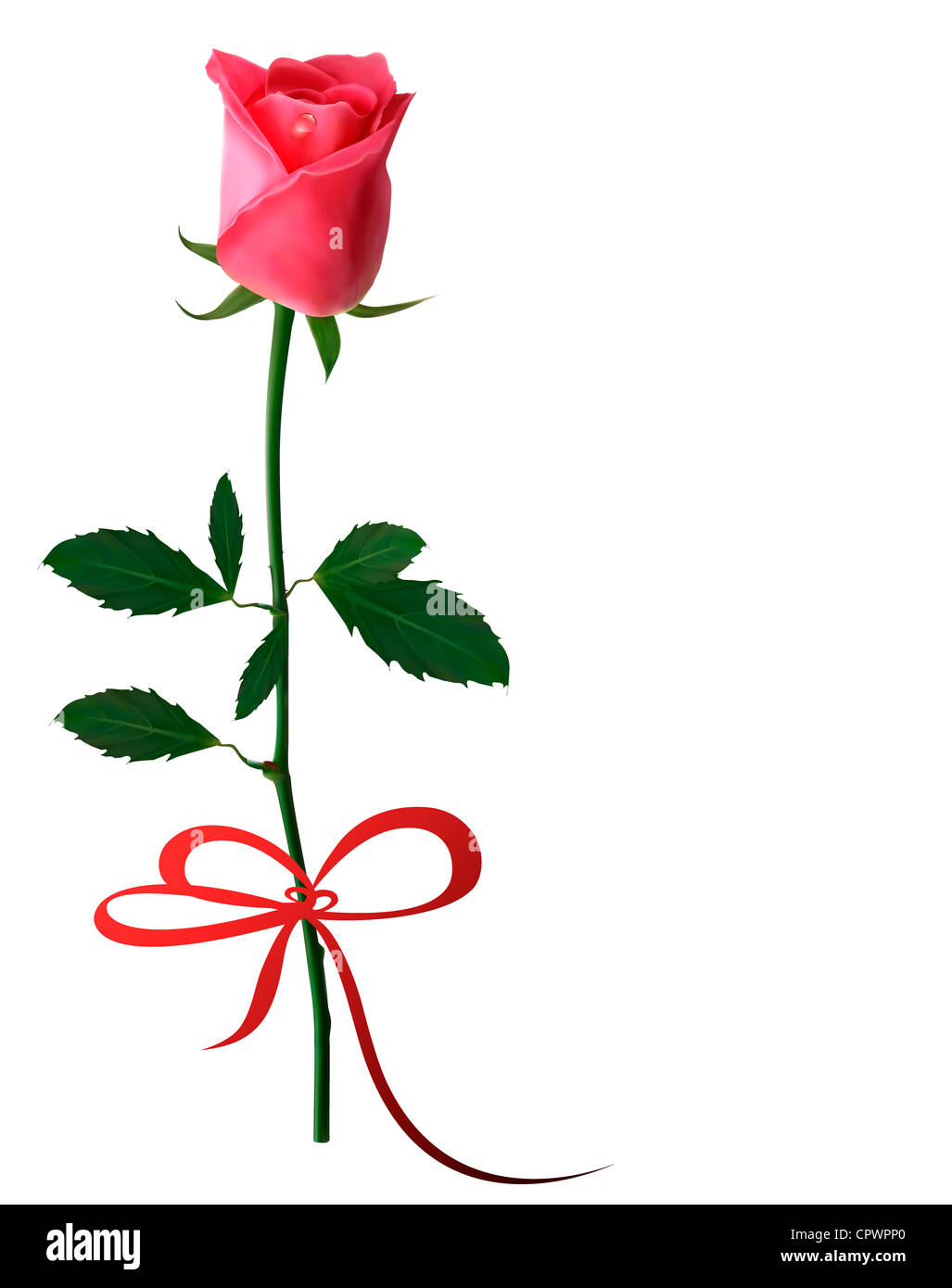 Beautiful bd hi-res stock photography and images - Alamy