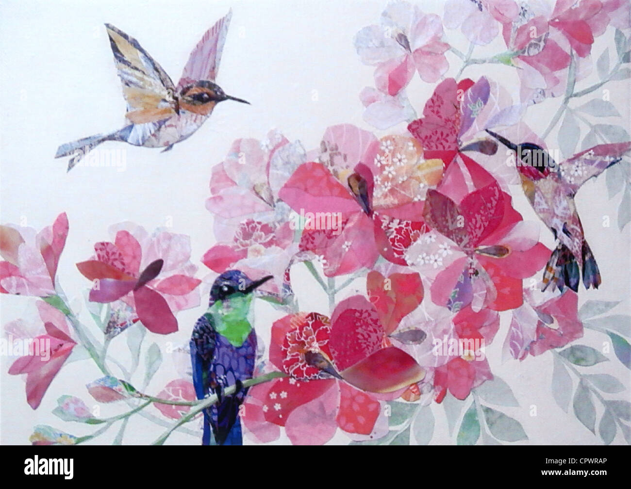 Birds collage hi-res stock photography and images - Alamy