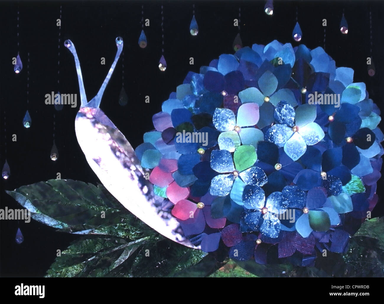 Raining snail hi-res stock photography and images - Alamy
