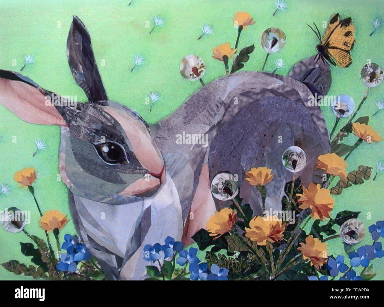 Garden rabbit two hi-res stock photography and images - Alamy