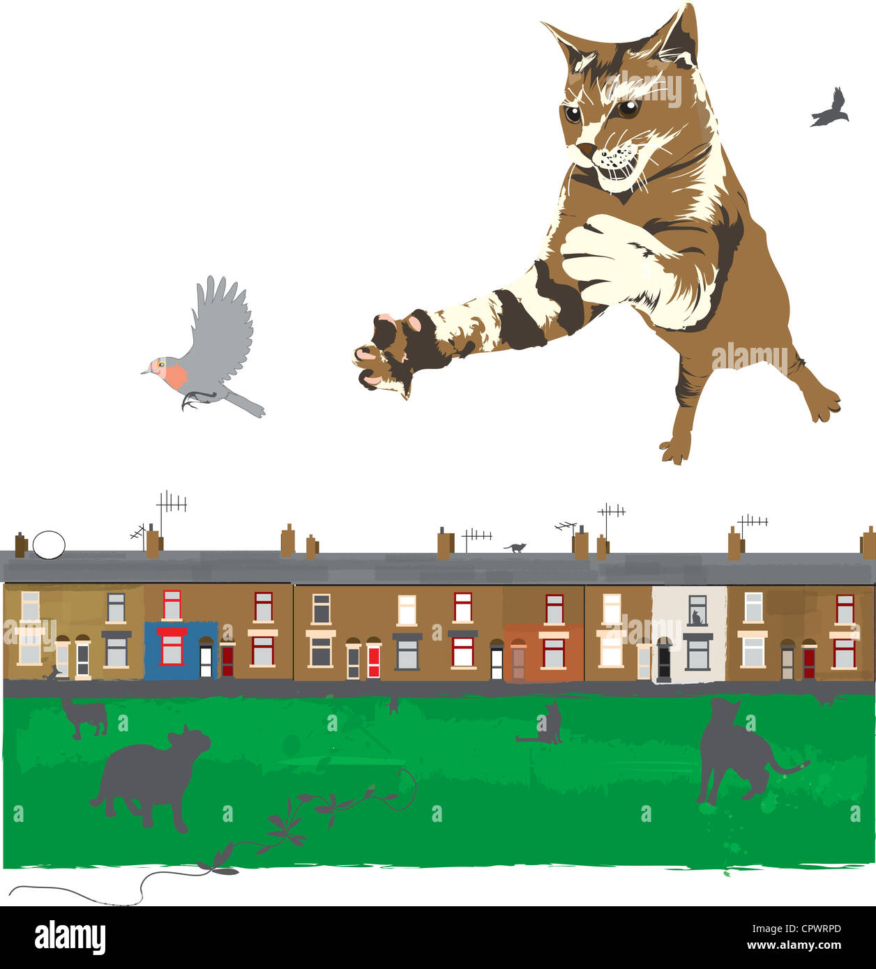 Cat jumping bird hi-res stock photography and images - Alamy