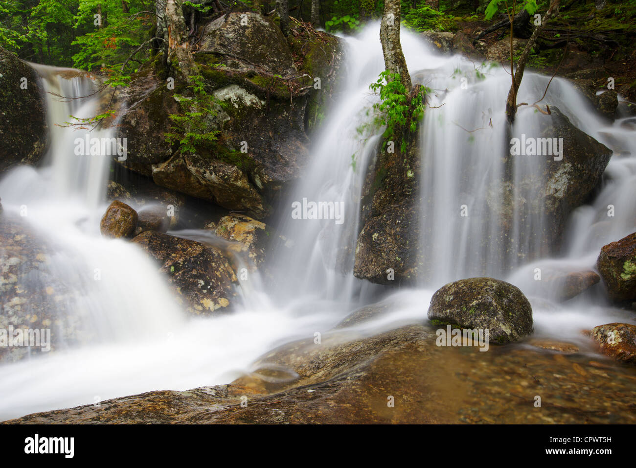 Pinkham Notch of the White Mountain National Forest of New Hampshire ...