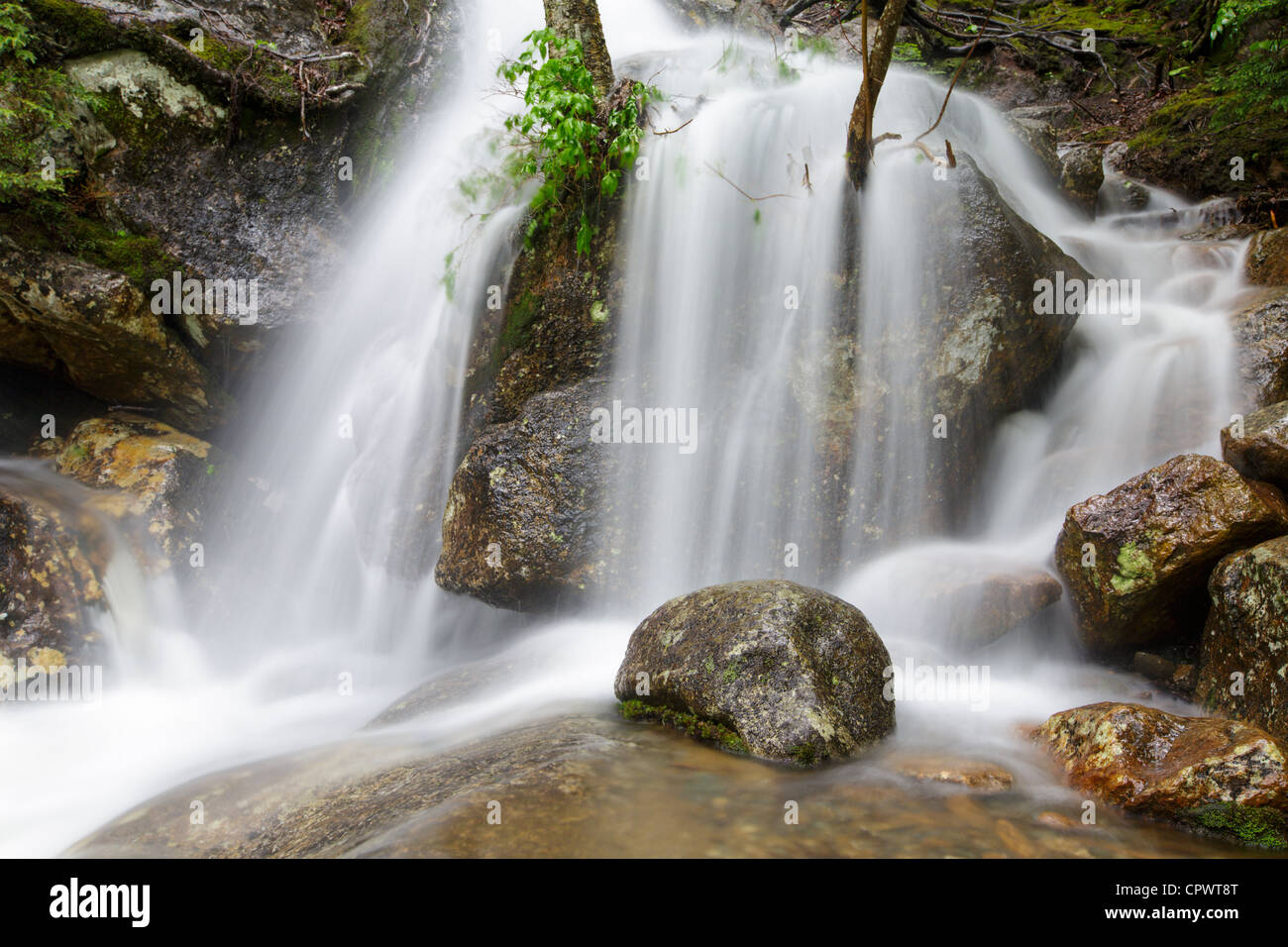 Pinkham Notch of the White Mountain National Forest of New Hampshire ...