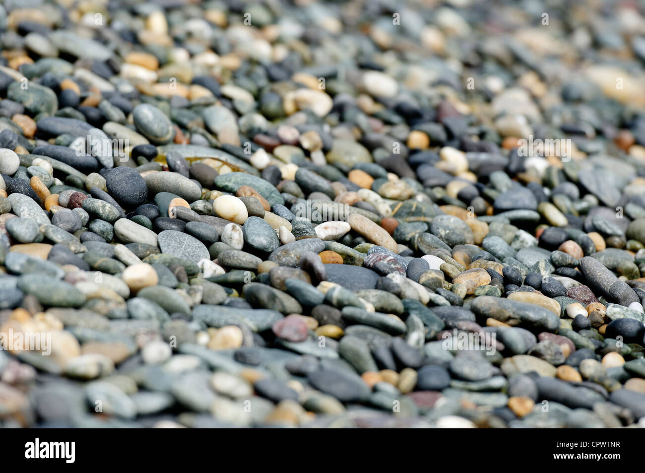 Pebbles on a beach at Cemlyn Bay Anglesey Stock Photo - Alamy