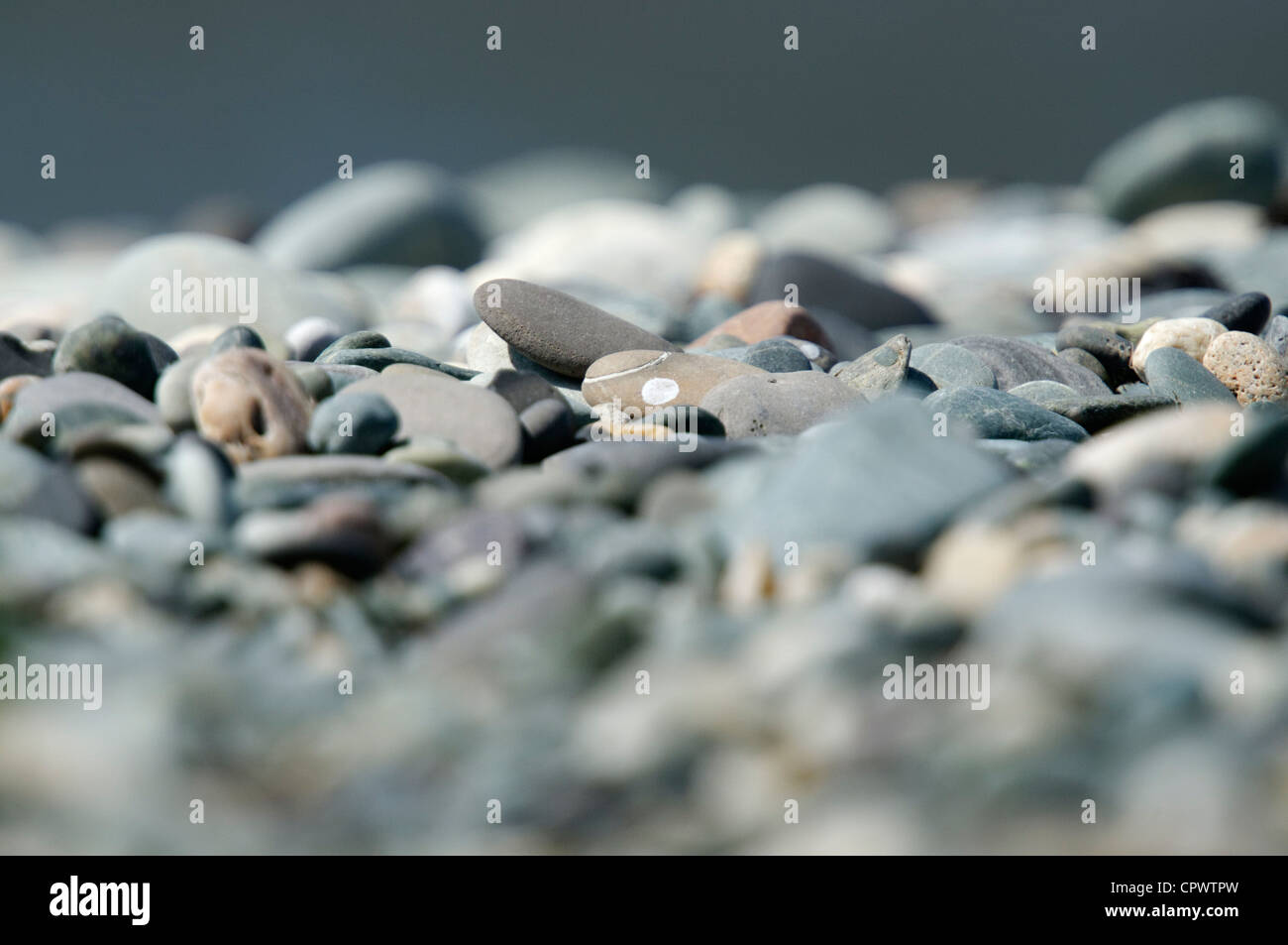 Pebbles on a beach at Cemlyn Bay Anglesey Stock Photo - Alamy