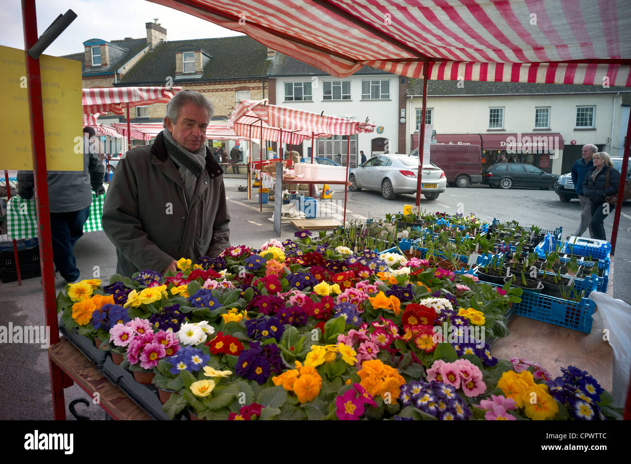 Flowers on sale at Bovey Tracey Farmers Market Devon England Stock ...
