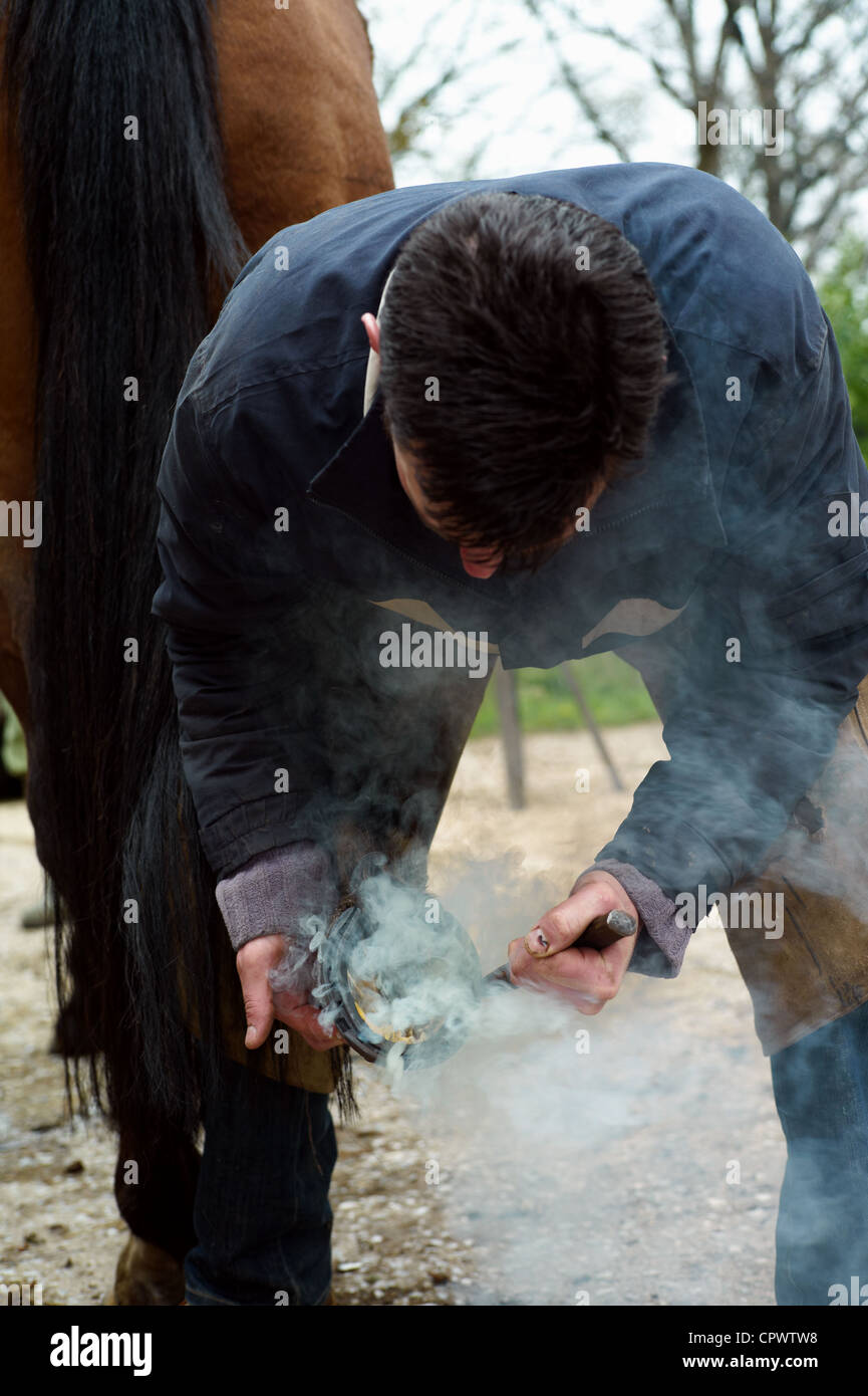 Mobile Farrier Shoeing horse near Bovey Trace Devon England Stock Photo ...