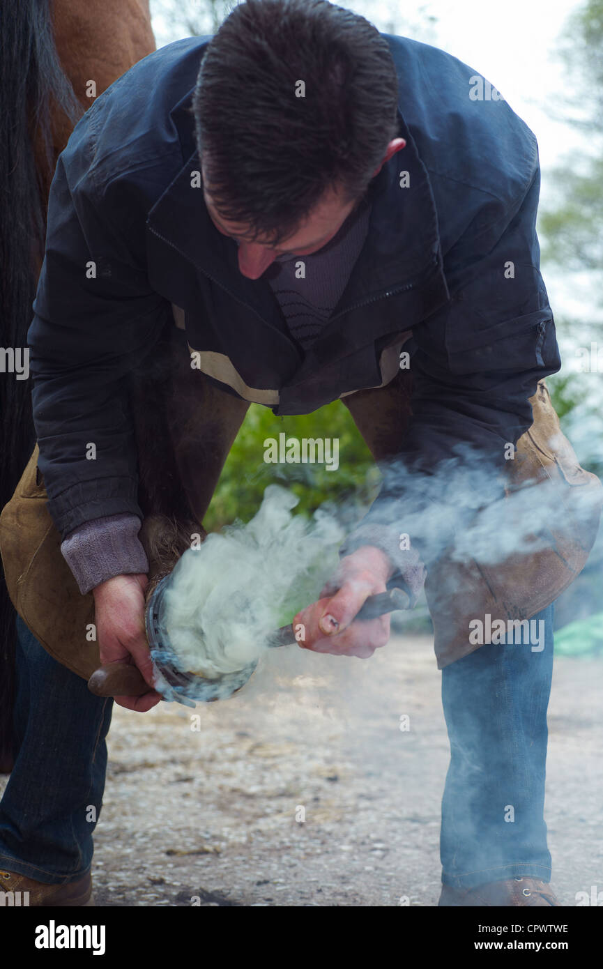 Farrier shoeing horse uk hi-res stock photography and images - Alamy