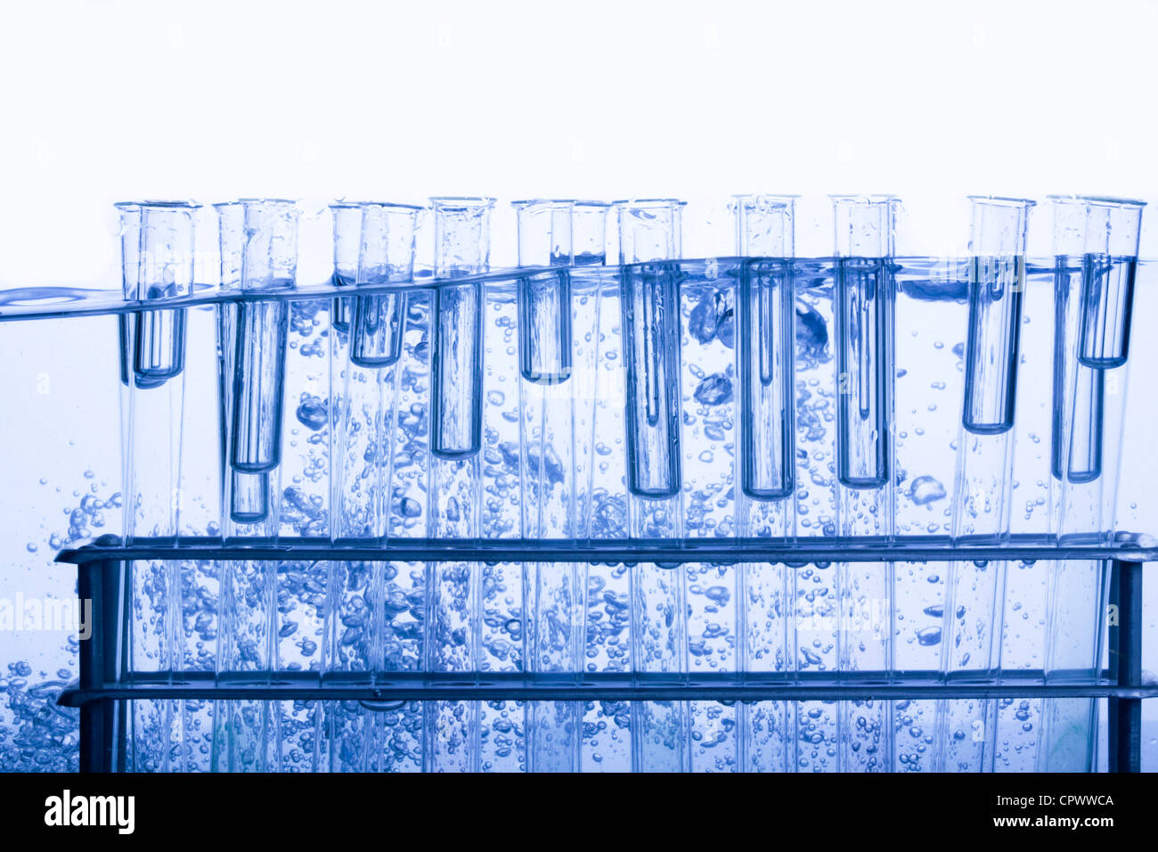 Scientist Experimenting Water Sample High Resolution Stock Photography ...