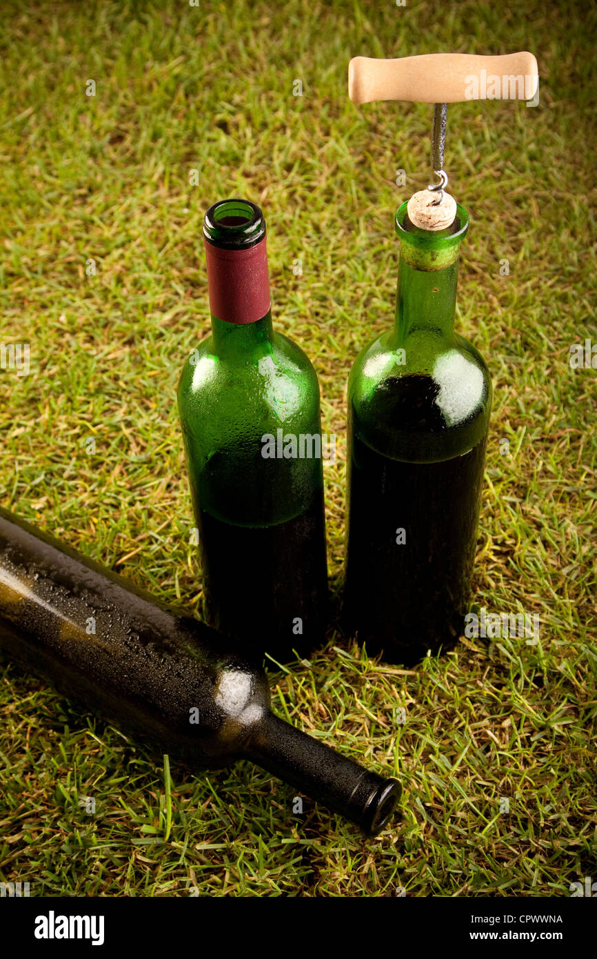 Wine on grass Stock Photo - Alamy