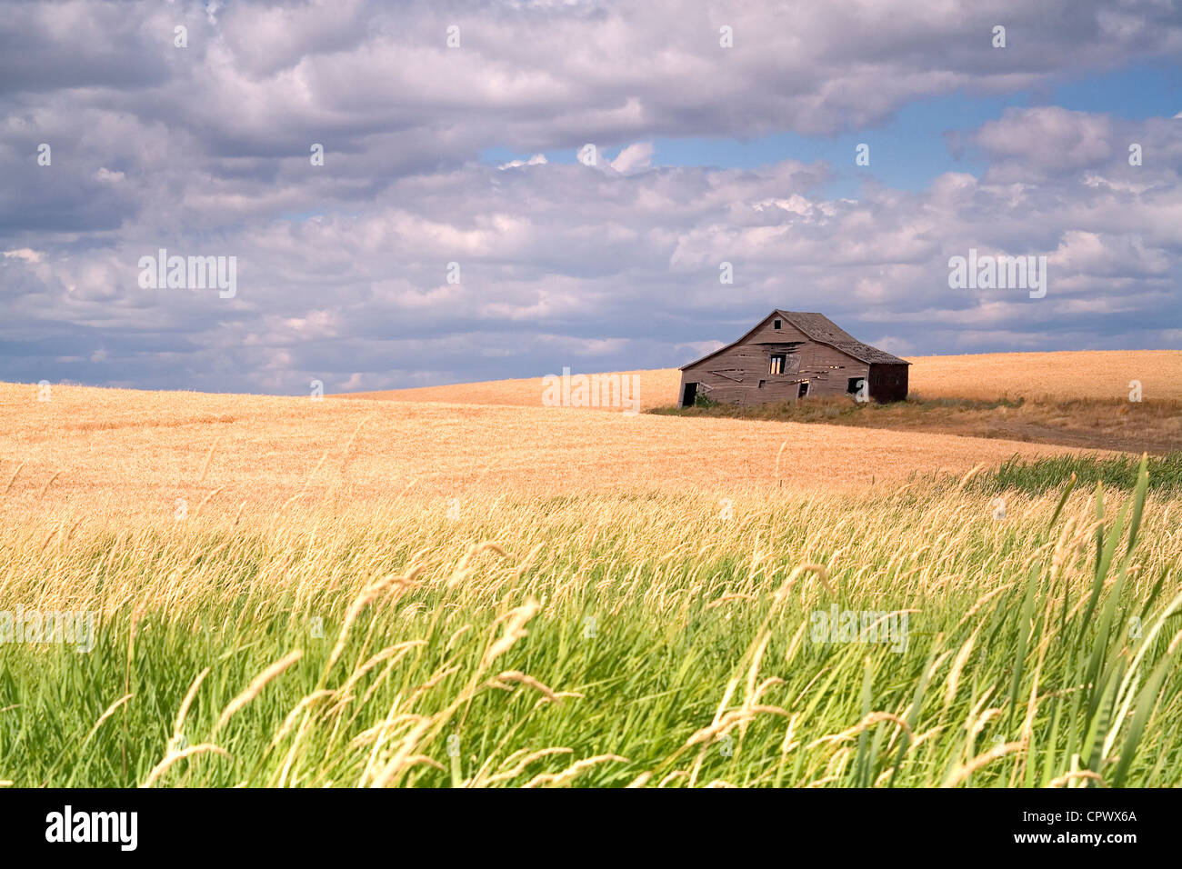 Countryside Crops Barn Farm Building High Resolution Stock Photography ...