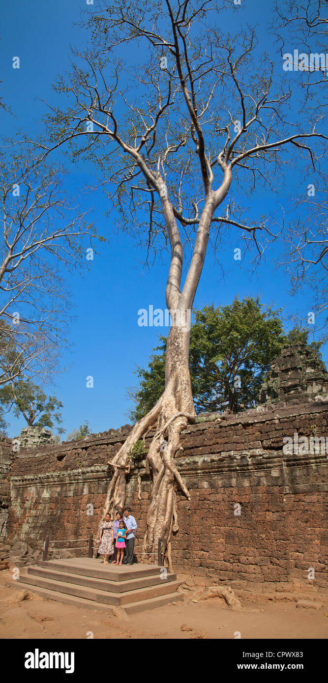 Siem reap cambodia trees hi-res stock photography and images - Alamy