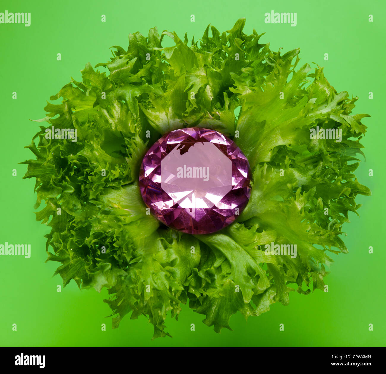 Green diamond lettuce hi-res stock photography and images - Alamy