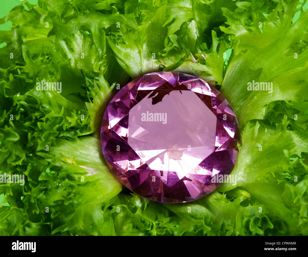 Green diamond lettuce hi-res stock photography and images - Alamy