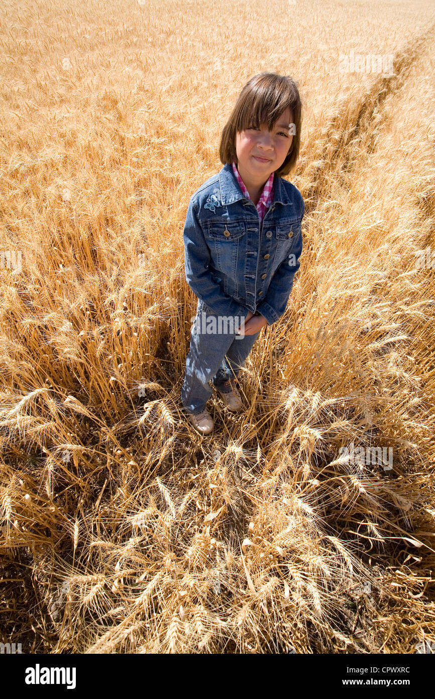 A young girl stands in a field of wheat Stock Photo - Alamy