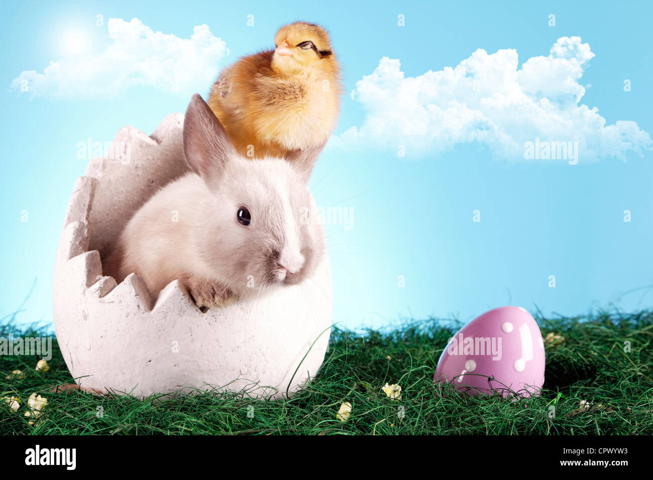 Easter Animals RM Stock Photo - Alamy