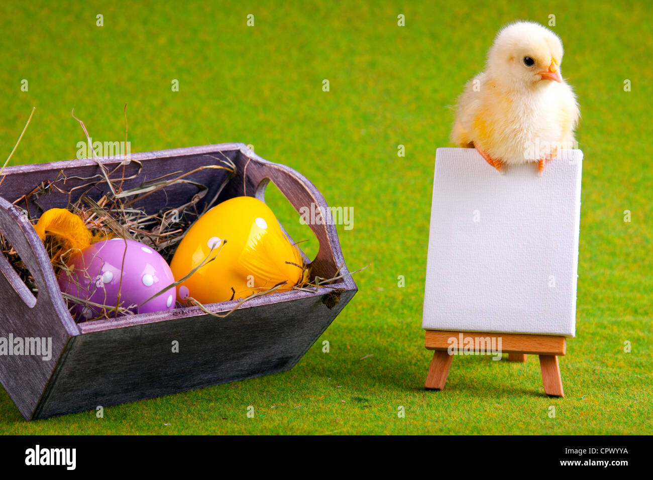 Easter Animals/Concept RF Stock Photo - Alamy