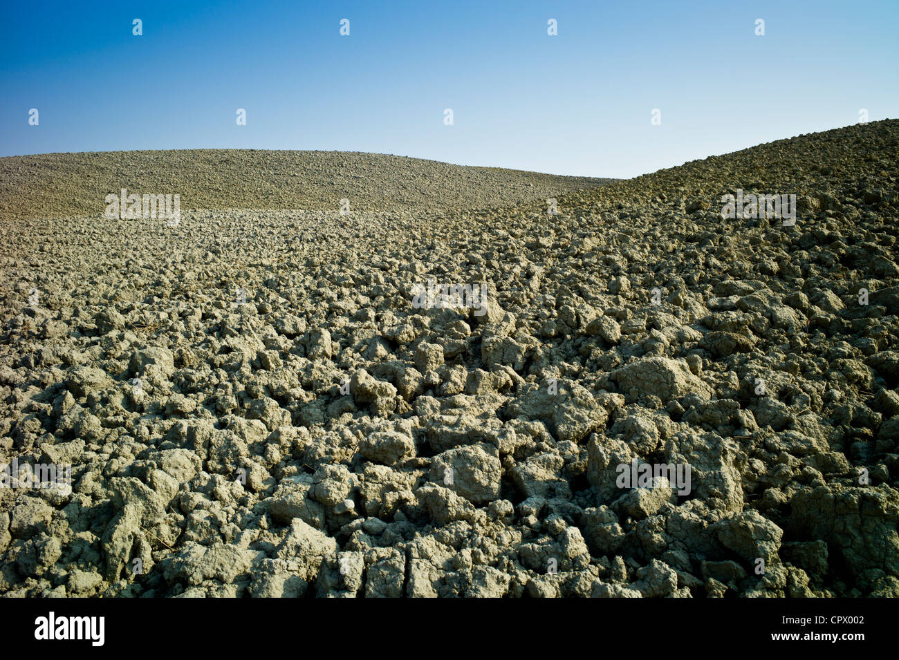 Parched soil hi-res stock photography and images - Alamy