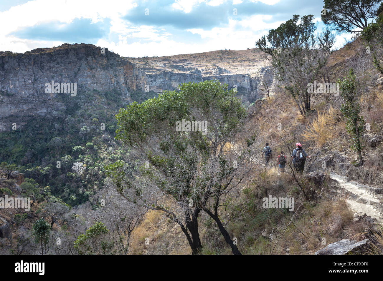 sandstone cliffs, Isalo National Park, Ihorombe Region of Madagascar ...