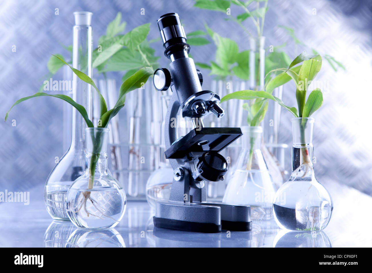Lab experiments on plants hi-res stock photography and images - Alamy