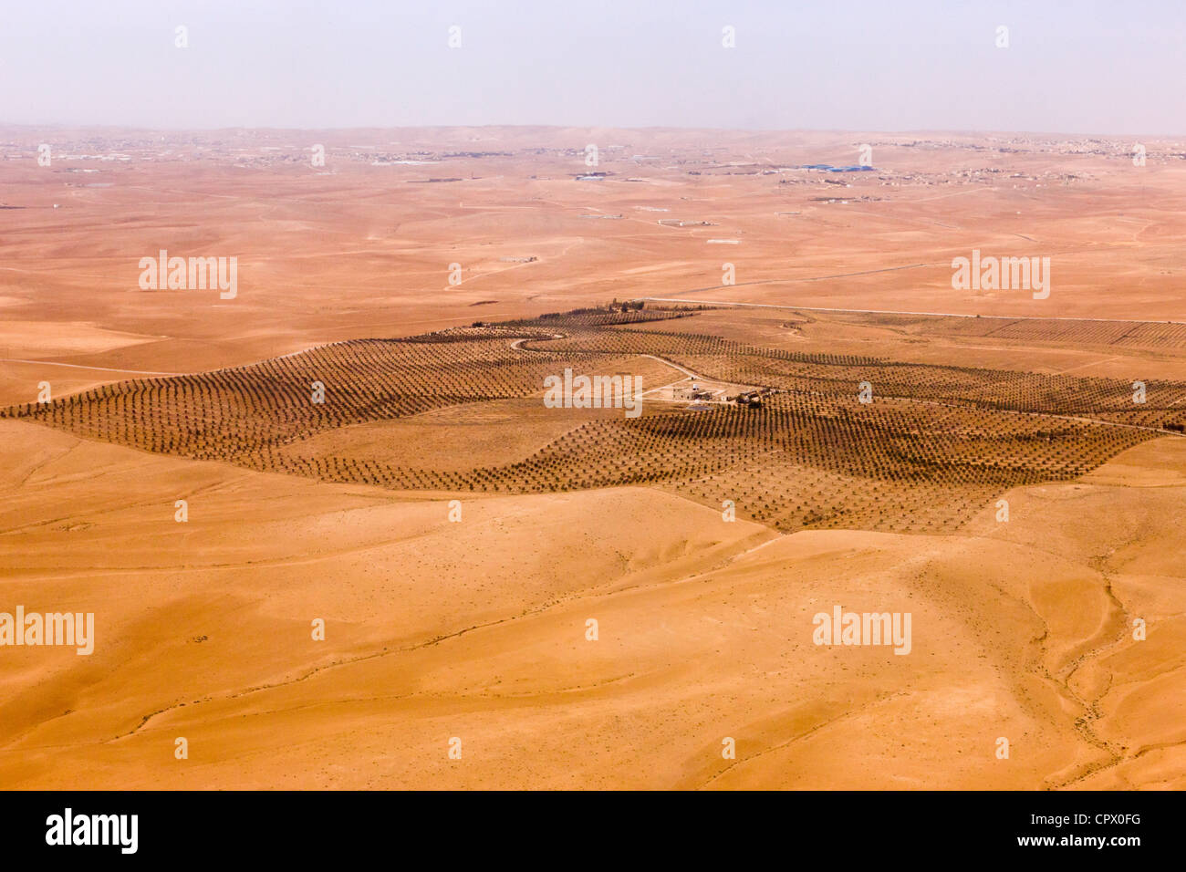 Aerial view of desert forestation, Jordan Stock Photo - Alamy