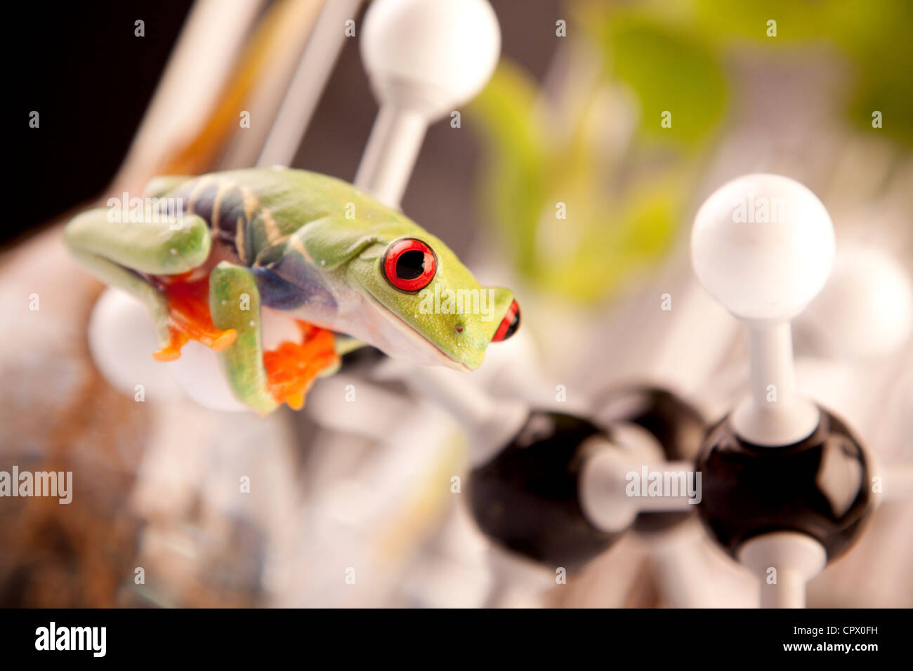 Lab experiments on plants hi-res stock photography and images - Alamy