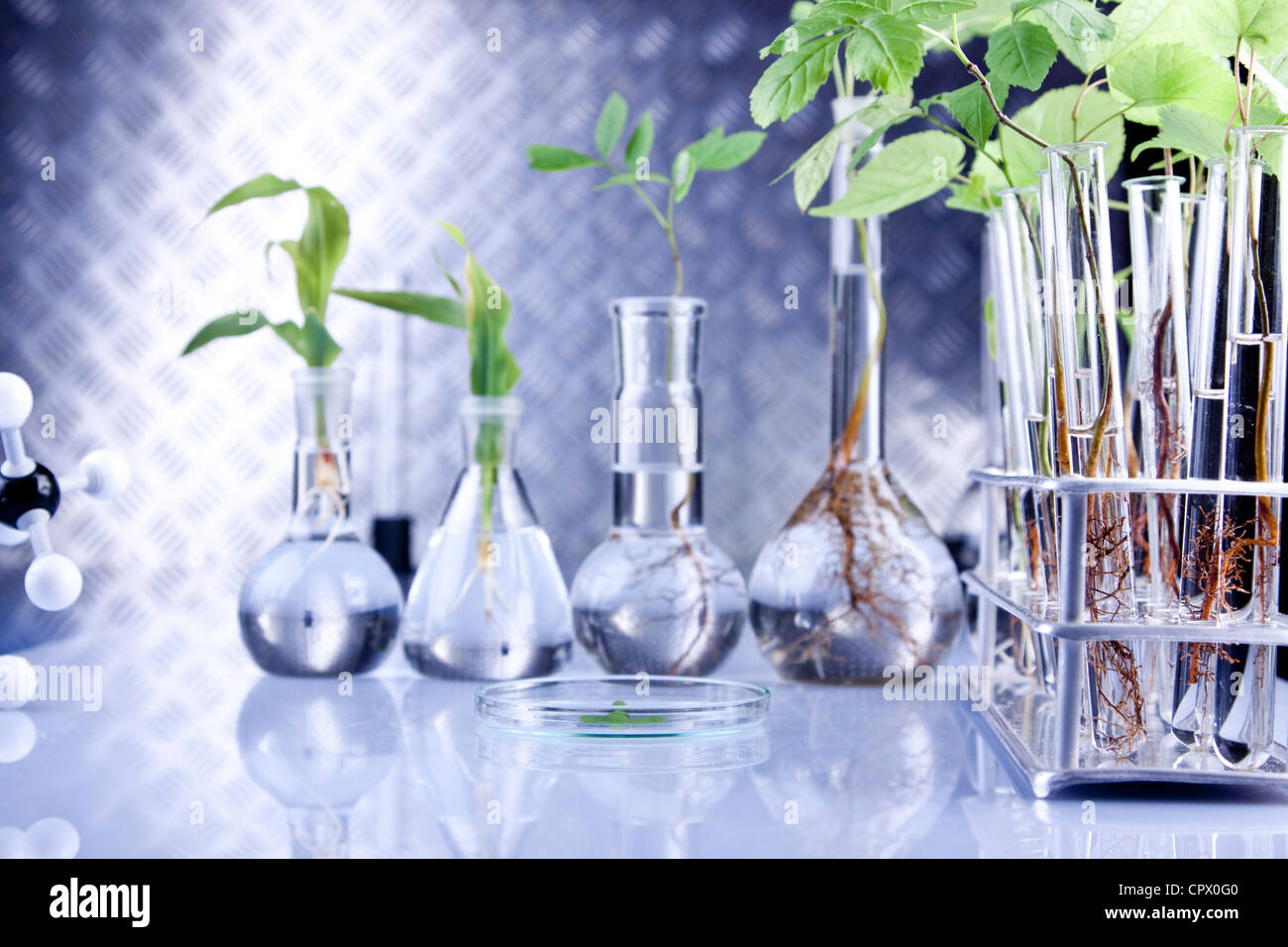 Lab experiments on plants hi-res stock photography and images - Alamy