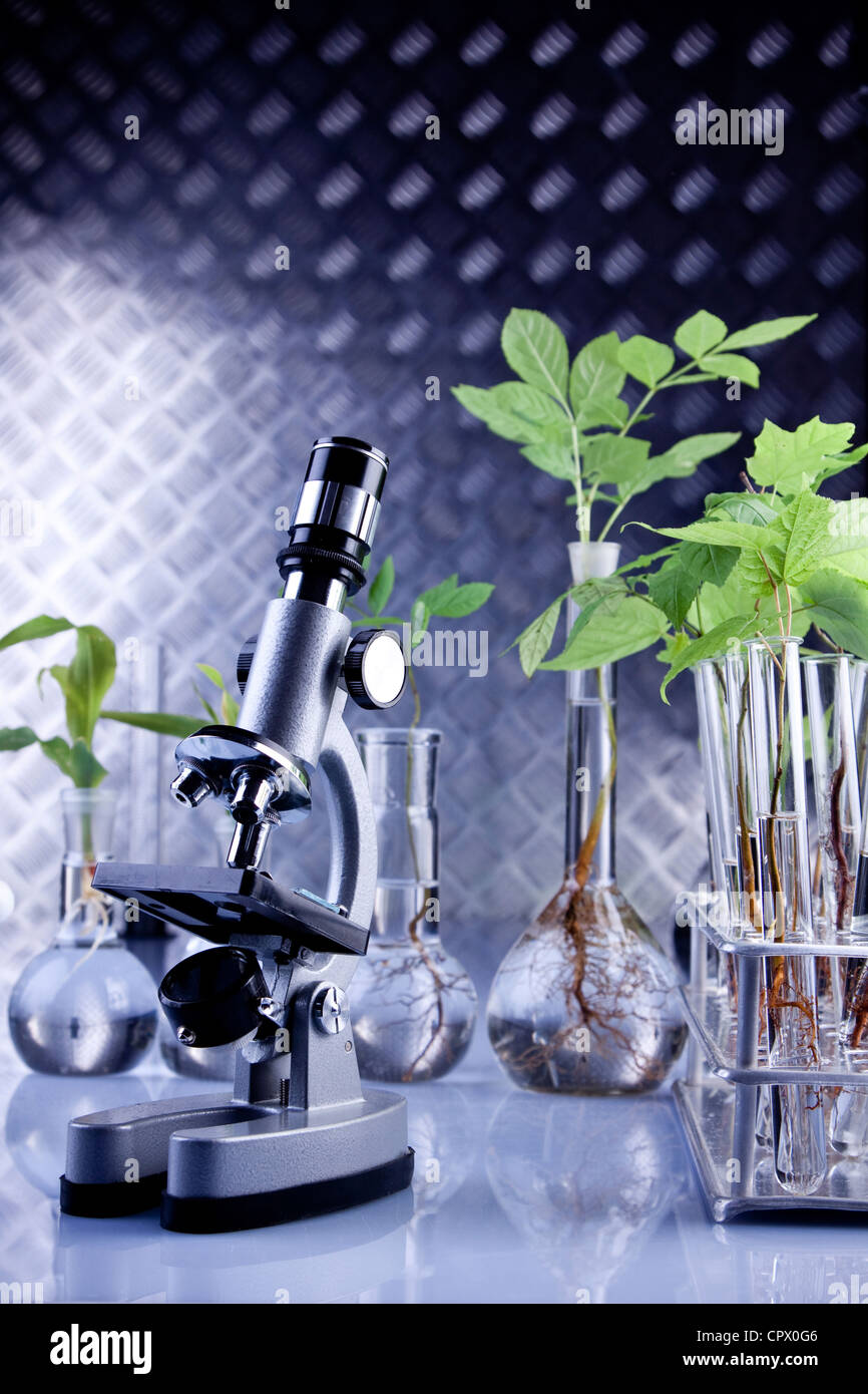 Lab experiments on plants hi-res stock photography and images - Alamy