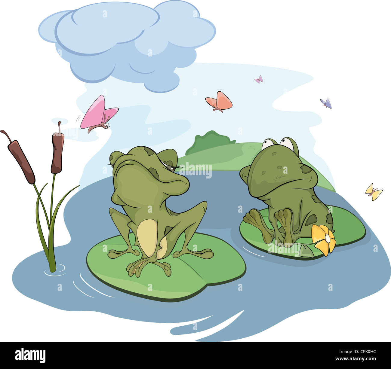 Two big frogs on a bog Stock Photo - Alamy