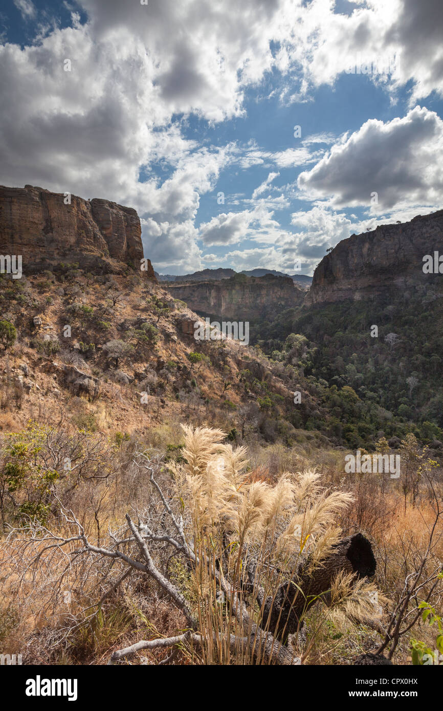 sandstone cliffs, Isalo National Park, Ihorombe Region of Madagascar ...