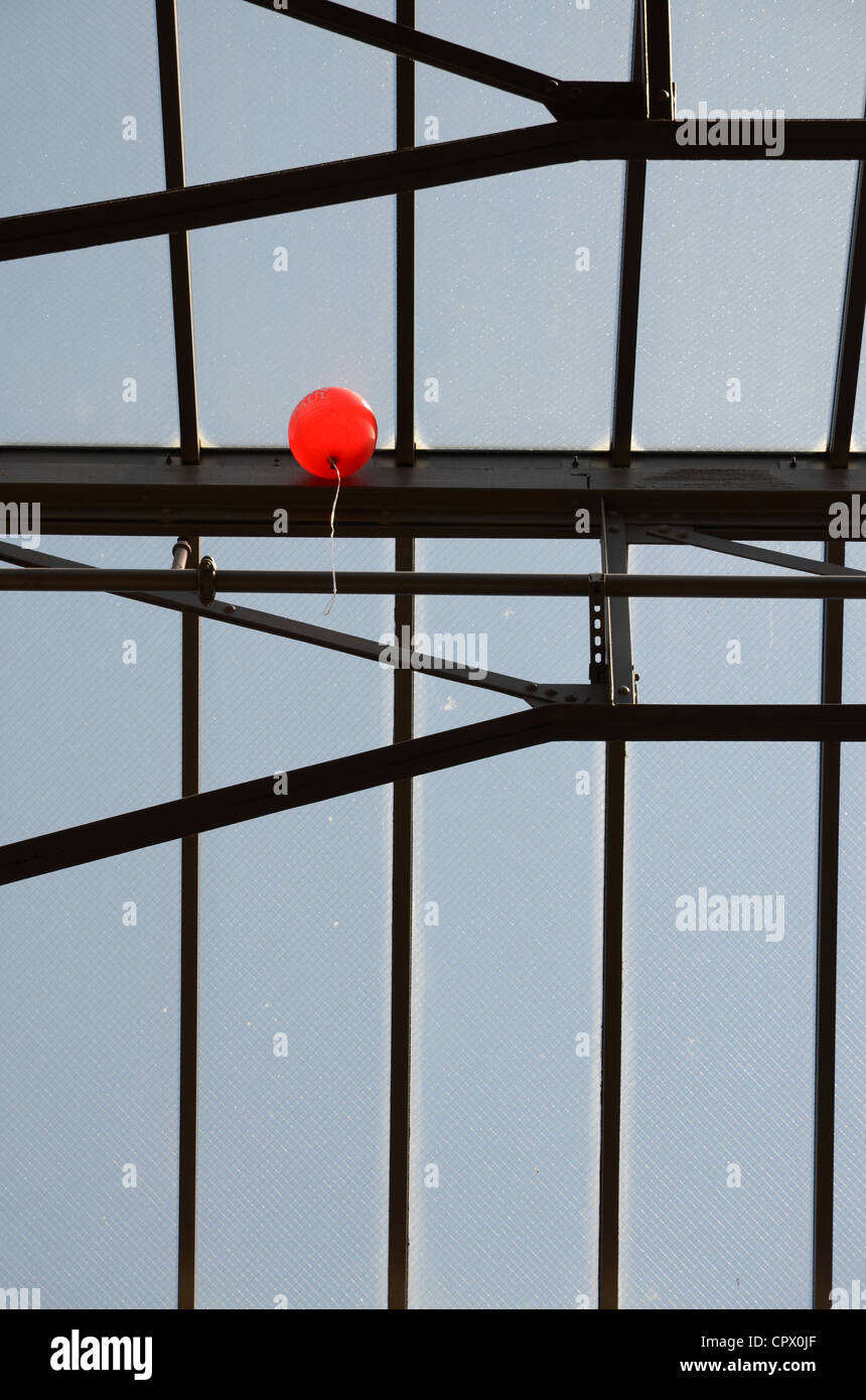 Red balloon against a glass roof Stock Photo - Alamy
