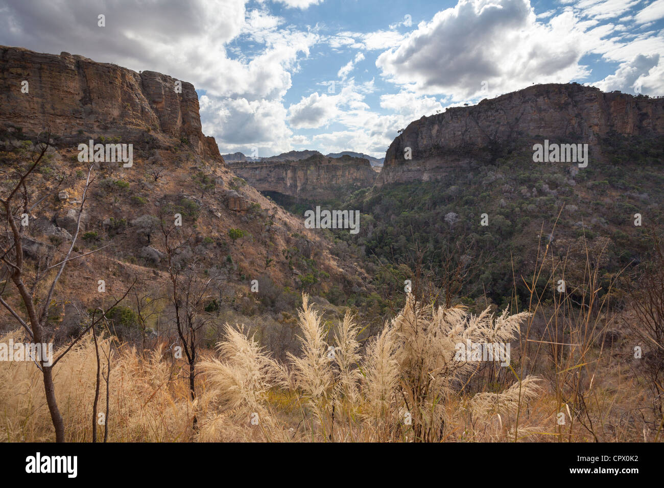sandstone cliffs, Isalo National Park, Ihorombe Region of Madagascar ...