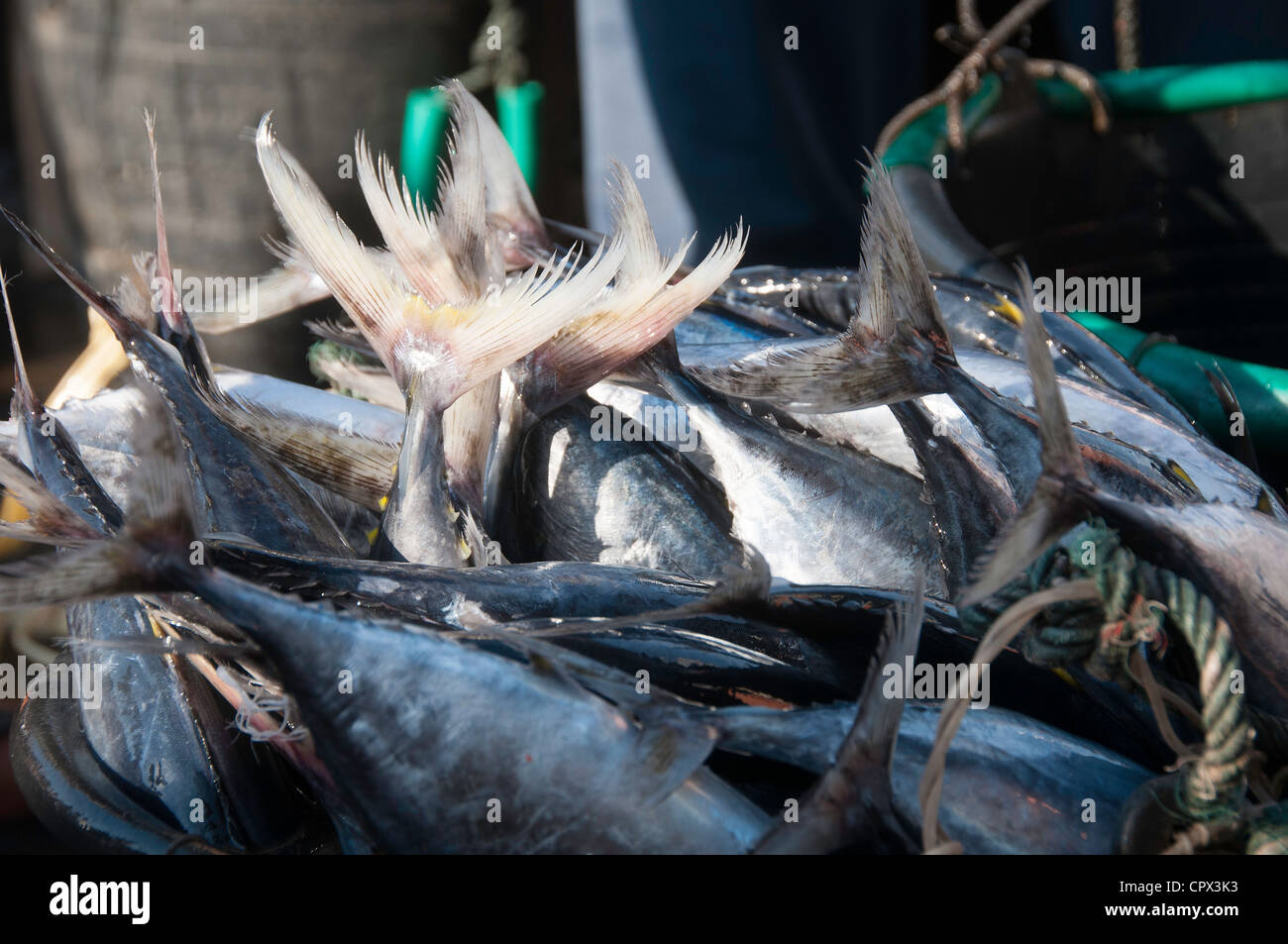 Bitung hi-res stock photography and images - Alamy